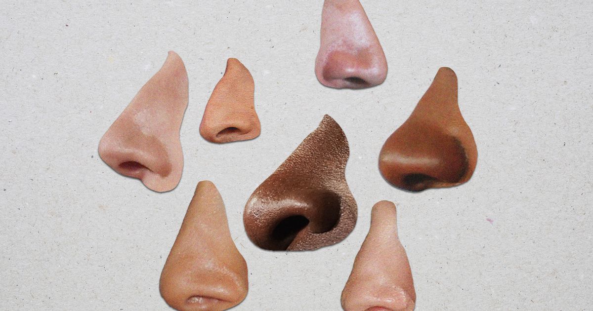 In Hindsight, 2021 Was the Year of the Nose