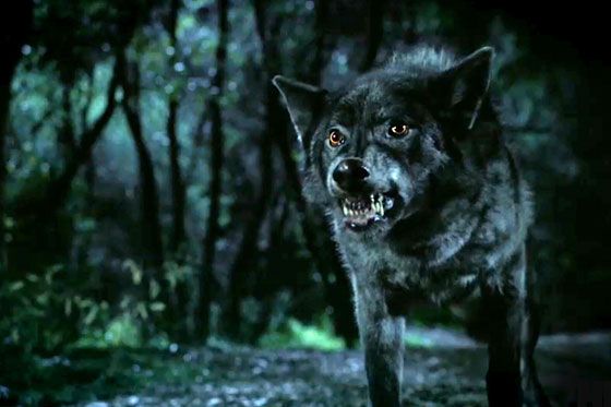 From Lon Chaney’s Hairy Mask to Twilight’s CGI Panda Dogs: The ...