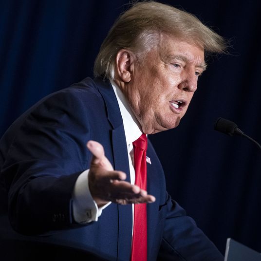 Memories and Photos of Area Nightclub -- New York Magazine - Nymag