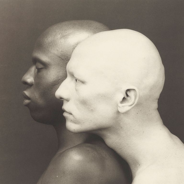 See 23 Artworks From Robert Mapplethorpe: The Archive - Slideshow - Vulture