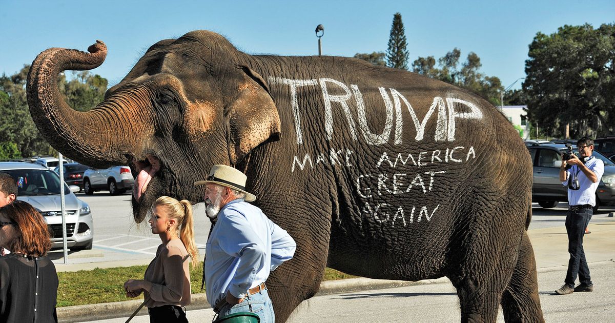 What You’re Arguing About When You Argue About Politics