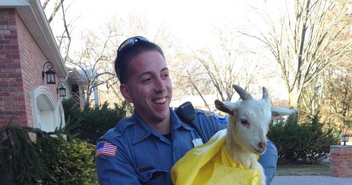 Adorable New Jersey Goat Celebrates Easter by Getting Arrested