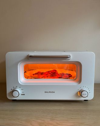 Is the New $380 Balmuda Steam Toaster Oven Worth It? | The Strategist
