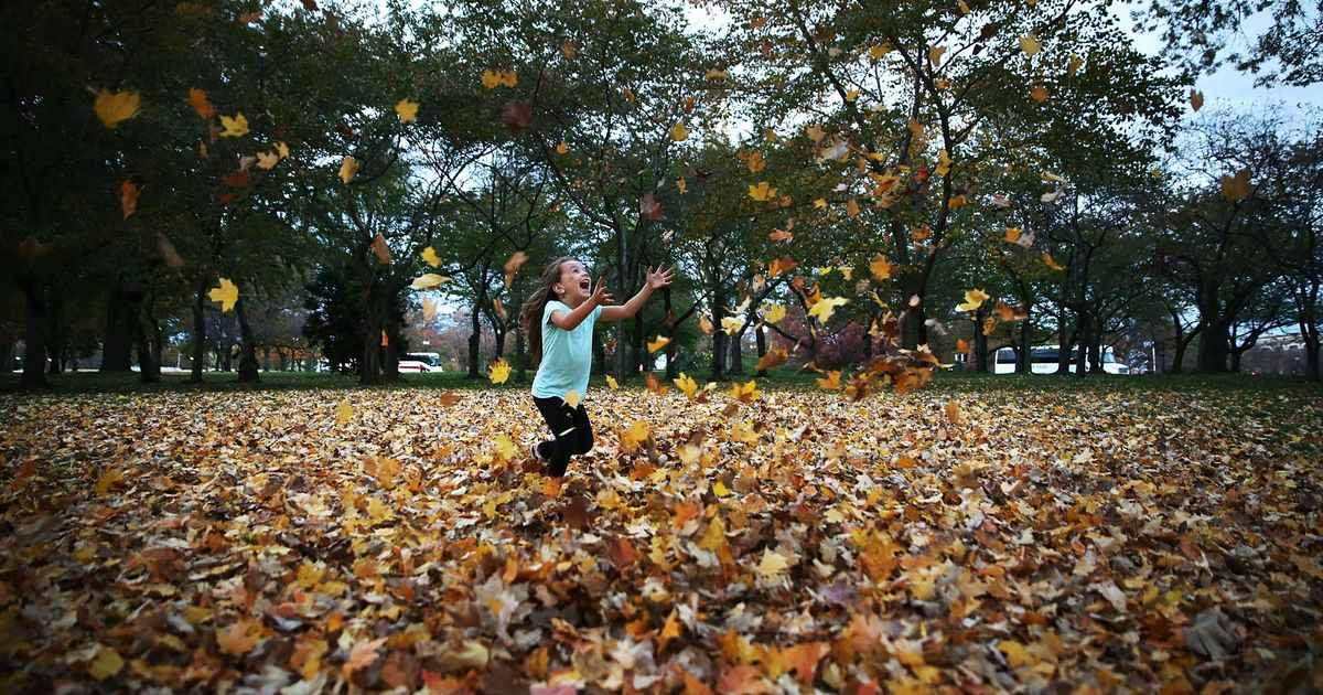 This Has Been the Hottest Autumn Ever