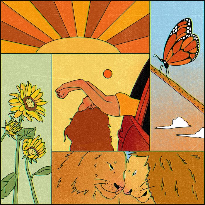 When is Leo Season? A Guide to How It Affects You.