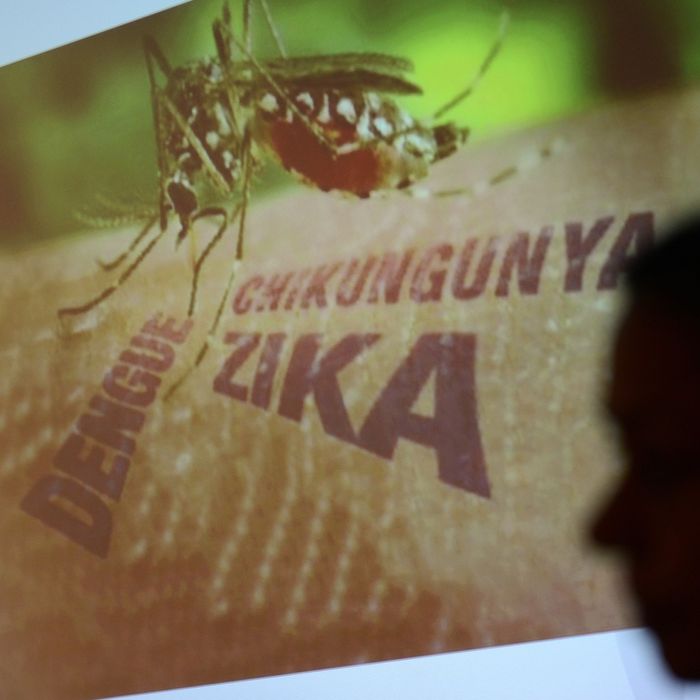 Fresh Intelligence Zika Spreads Through Sex Amazons Non Digital