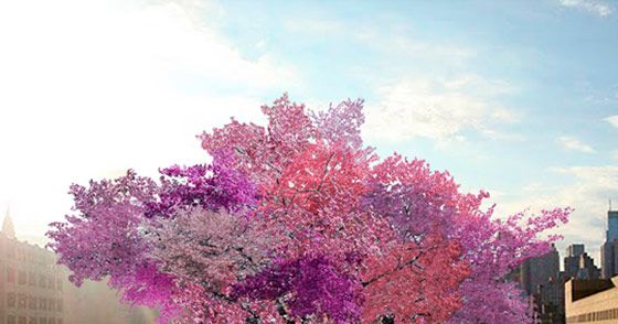 This One Insanely Colorful Tree Grows 40 Different Fruits