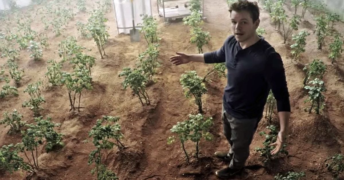 NASA Thinks Potatoes Can Legitimately Grow on Mars