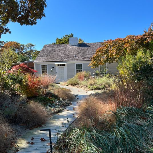 How a Denser Los Angeles Can Still Look Like Los Angeles