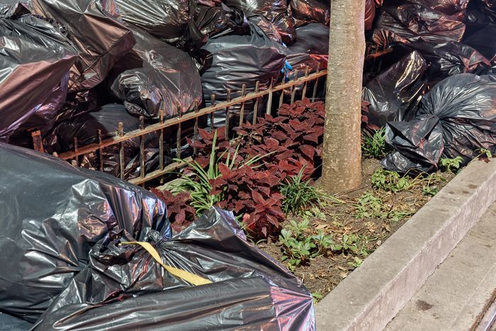 It’s Hot Garbage Month on Curbed