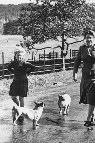 See Queen Elizabeth With Corgis, a Panda, Elephants, and Other Animals