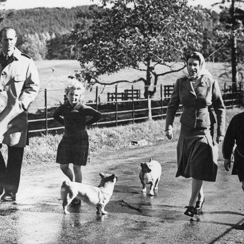 See Queen Elizabeth With Corgis, a Panda, Elephants, and Other Animals