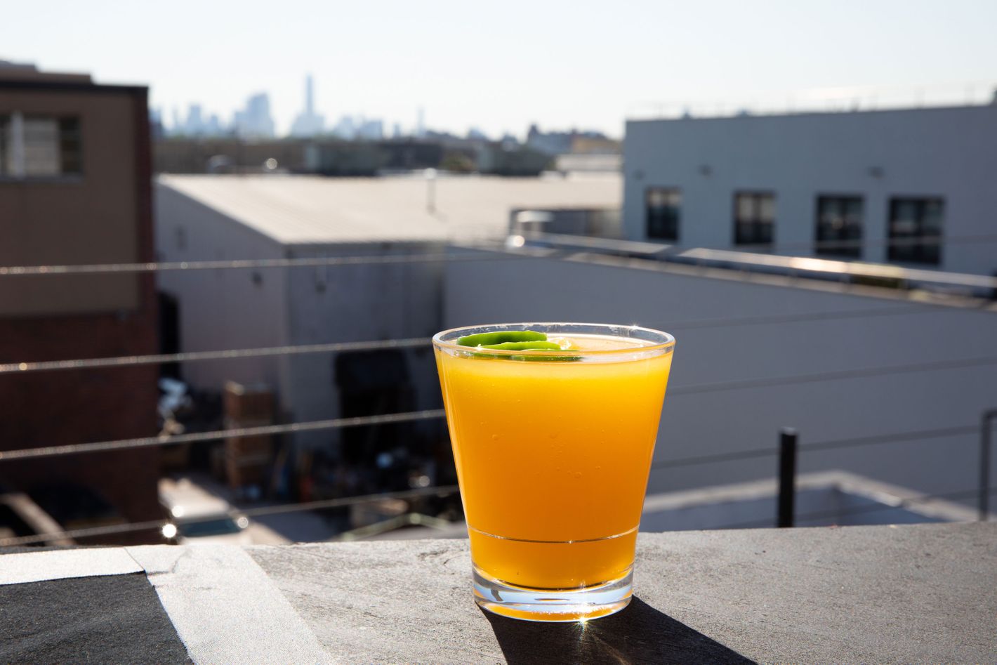 The Rooftop at Elsewhere Opens in NYC