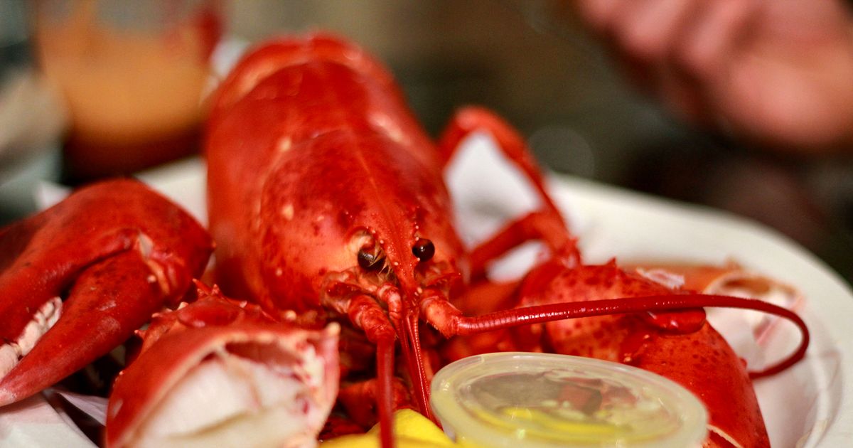 Menu Surfing: Chefs’ Favorite Beach Eats