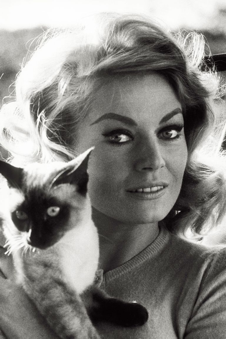 The 50 Most Fabulous (and Famous) Cat Ladies of All Time