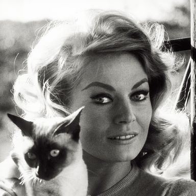 The 50 Most Fabulous (and Famous) Cat Ladies of All Time