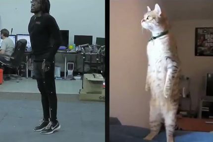 Take a Tour of YouTube’s Top Studio for Cat Videos - Clickable - Vulture