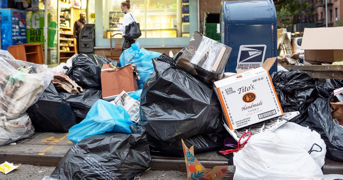 Trash Hours May Be Pushed to 8 PM Delaying Rat Dinnertime
