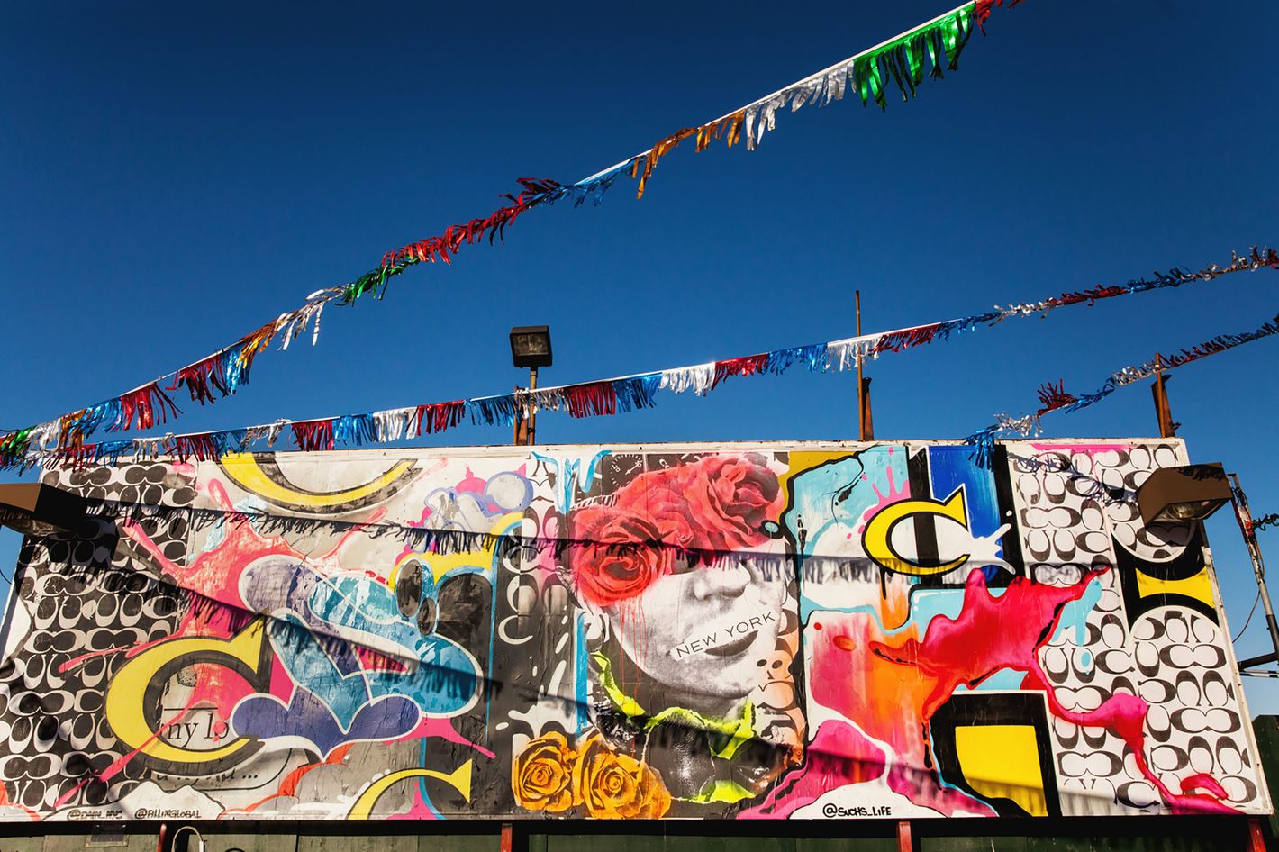 Coach Put Up Murals All Over New York City