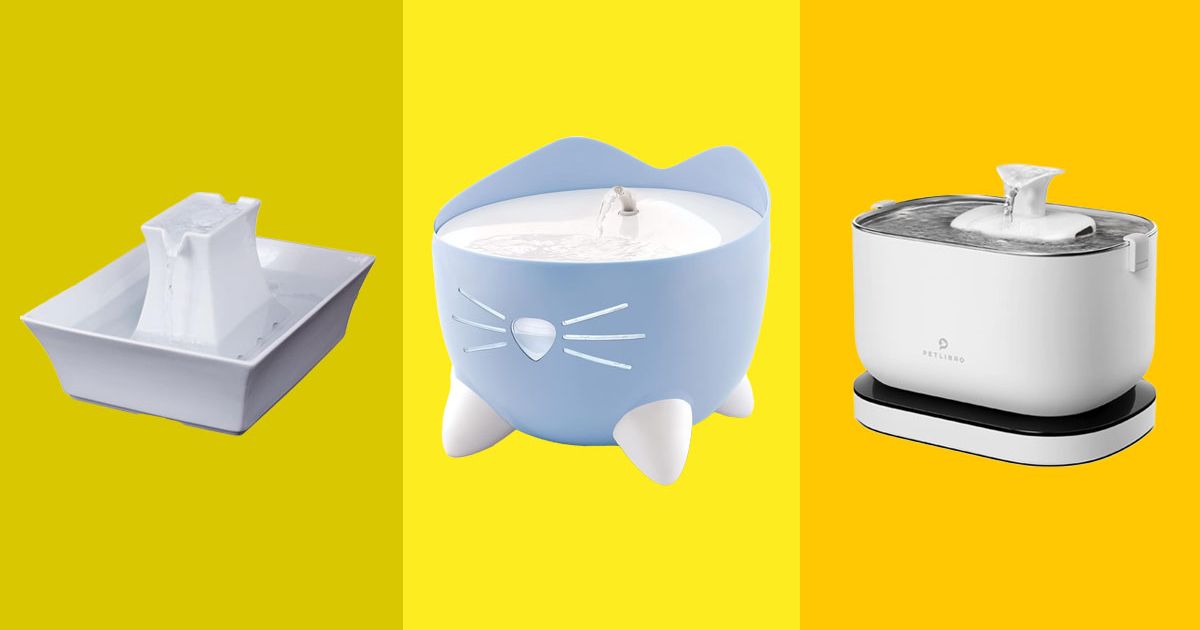 8 Best Pet Fountains 2024 | The Strategist