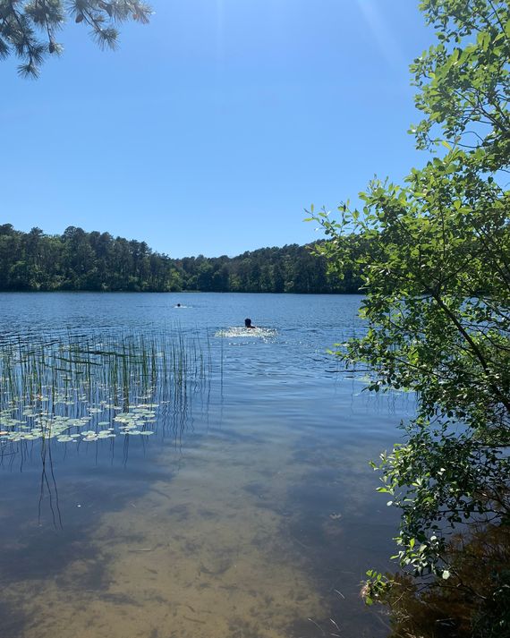 Cape Cod Itinerary: A Long Weekend of Things to Do | The Strategist