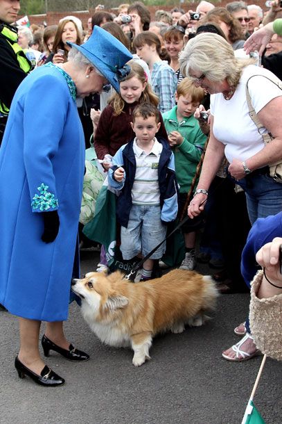 See Queen Elizabeth With Corgis, a Panda, Elephants, and Other Animals