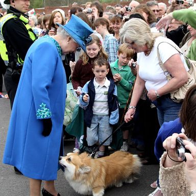 See Queen Elizabeth With Corgis, a Panda, Elephants, and Other Animals