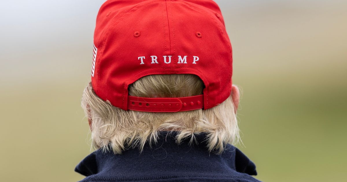 Donald Trump Assaulted Me on Plane, Jessica Leeds Testifies