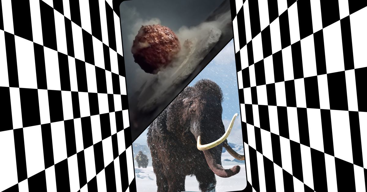 Woolly Mammoth Meatball: Everything to Know