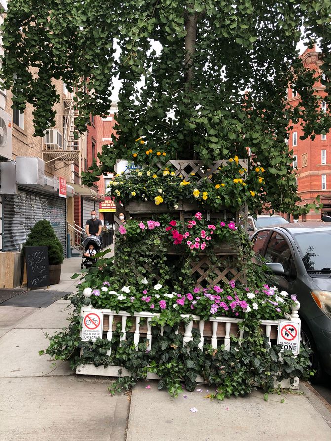New York City’s Tree Pit Gardens