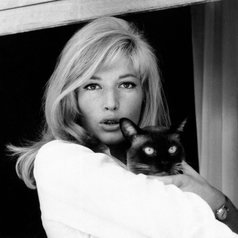 The 50 Most Fabulous (and Famous) Cat Ladies of All Time