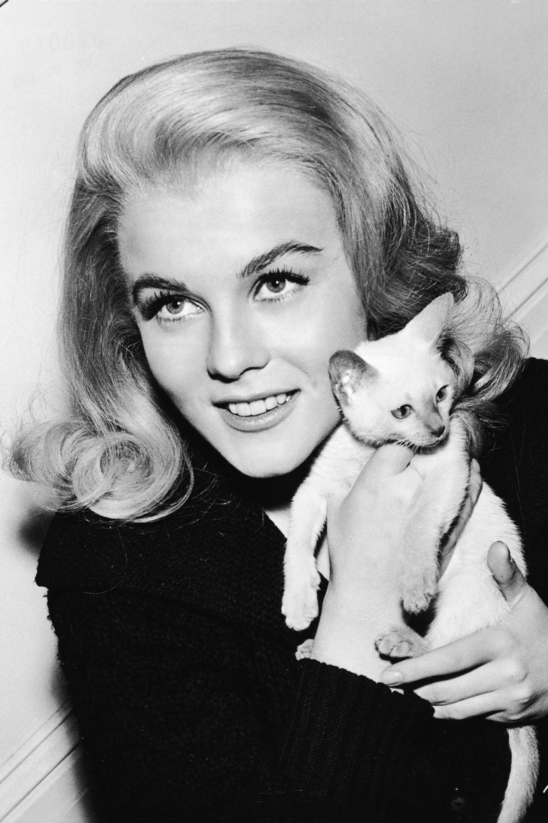 The 50 Most Fabulous (and Famous) Cat Ladies of All Time