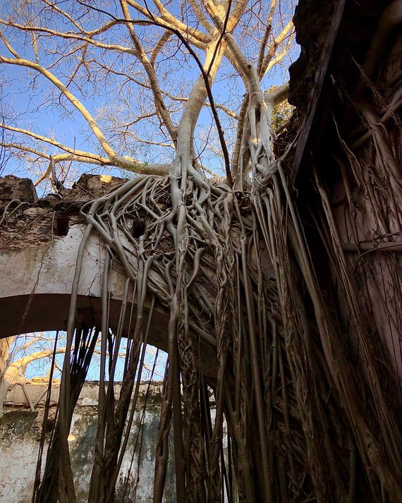 Mexico’s Yucatán Peninsula: A Week of Things to Do | The Strategist