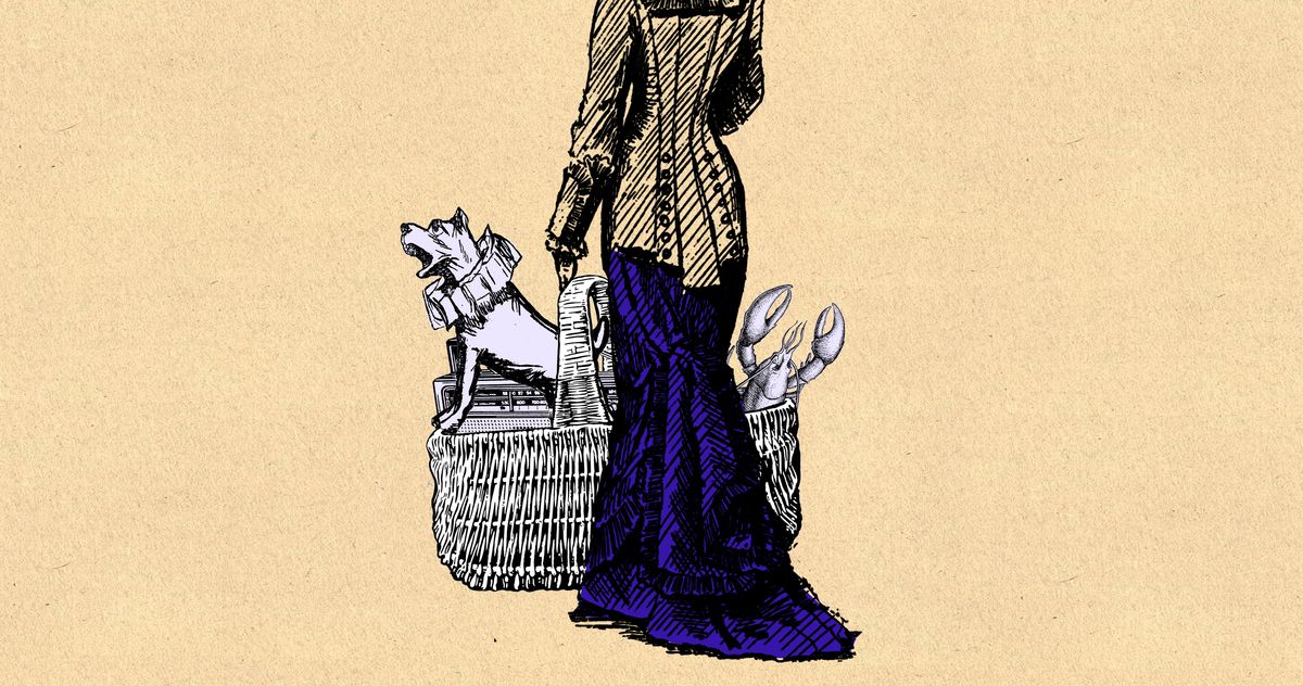 What Counts As a Personal Item? | The Strategist