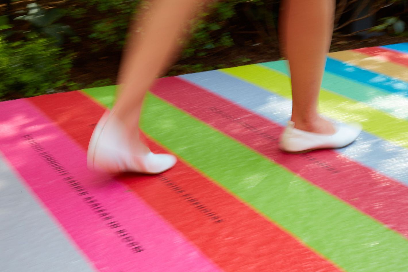 The Color Factory Is Headed to New York City