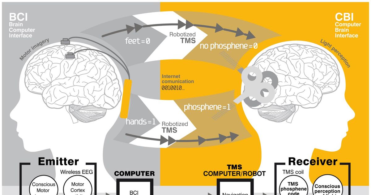 Researchers Just Pulled off the World’s First Brain-to-Brain Online ...