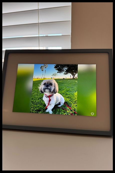 7 Best Digital Picture Frames | The Strategist