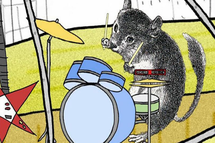Every Adult Swim Series, Ranked