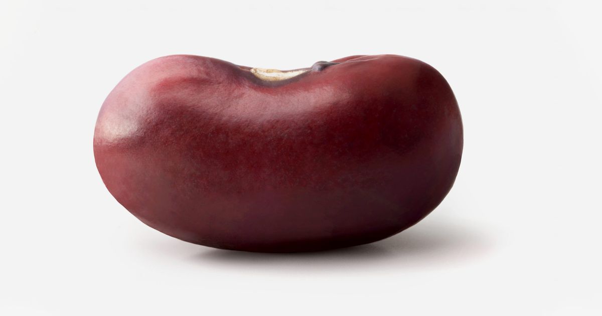 What makes it chili. > General Discussion > AR15.COM