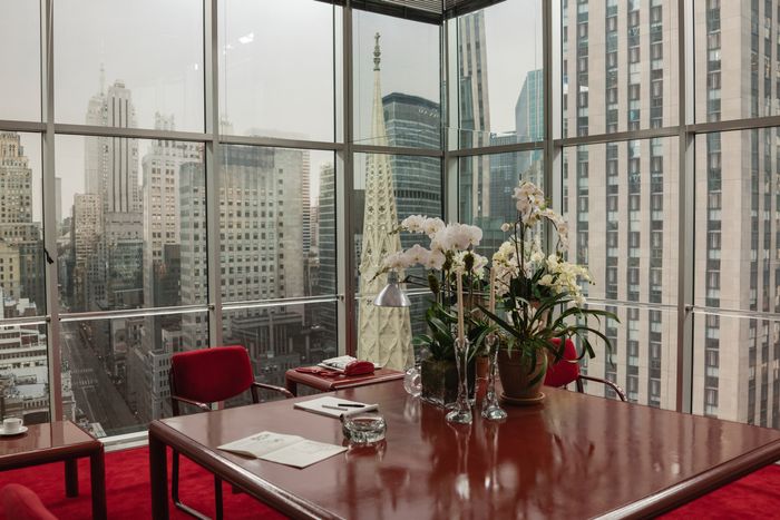 How Halston Re-creates the Disco-Era Glamour of New York