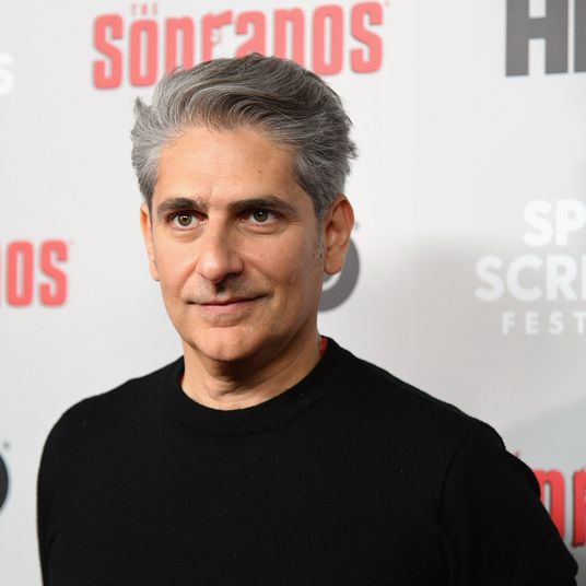 The Law Offices of Michael S. Lamonsoff