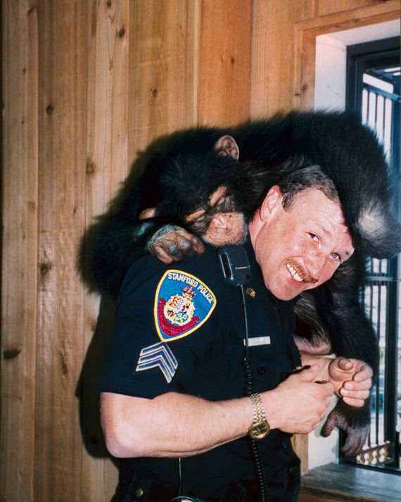 Travis the Menace: The Family Saga of Travis the Chimp