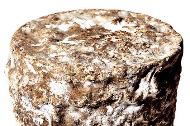 From Adelegger to Zimbro: 50 Runny, Yummy, Crumbly Cheeses to Eat Now