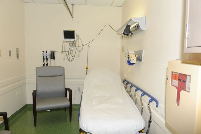 The Abusive Behavior of Ex-Mount Sinai Doctor David Newman