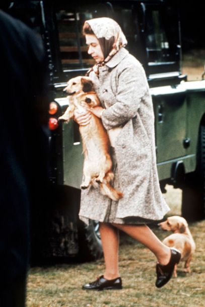 See Queen Elizabeth With Corgis, a Panda, Elephants, and Other Animals