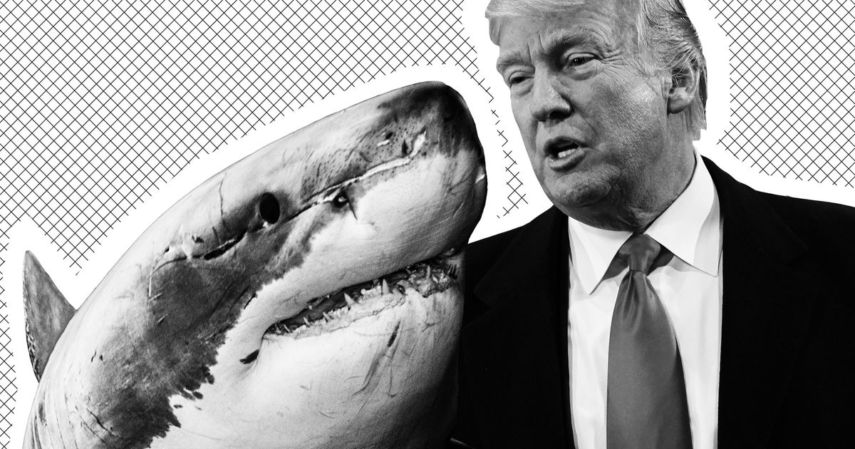 People Donating to Shark Charities in Trump’s Name