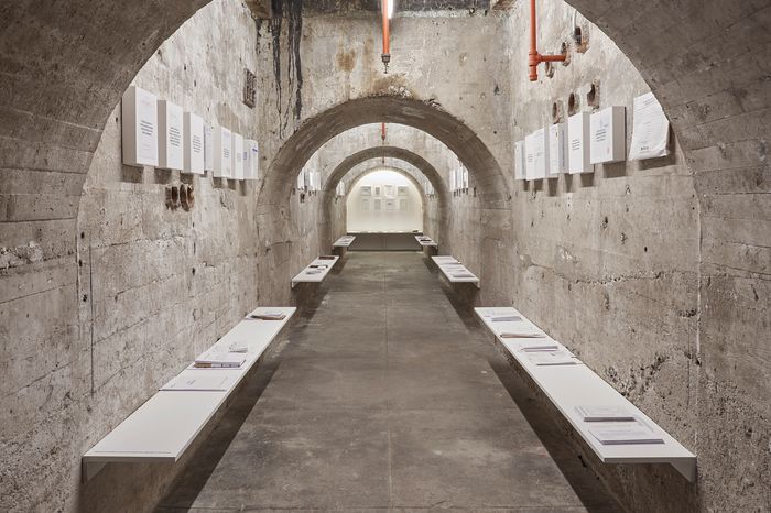 Aliza Shvarts’ Rape Kit Exhibition Is a Sad American Picture