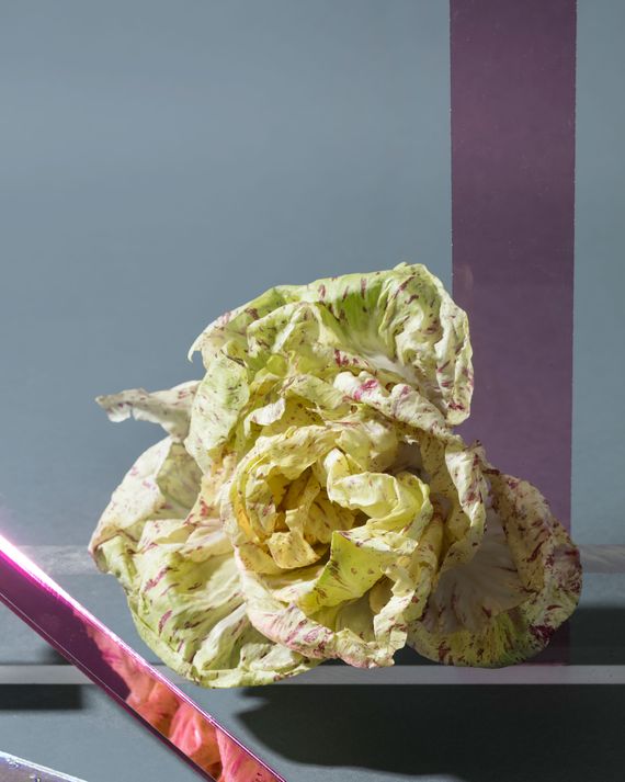 How Farmers Are Growing Futuristic Fruits and Vegetables