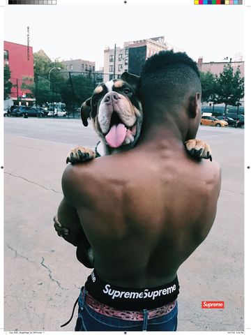 Streetwear Brand Supreme Releases a New Visual History