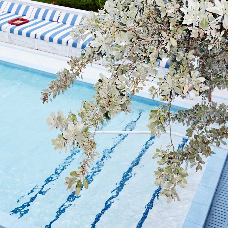 Art Basel Photo Diary: Wednesday - Slideshow - Vulture